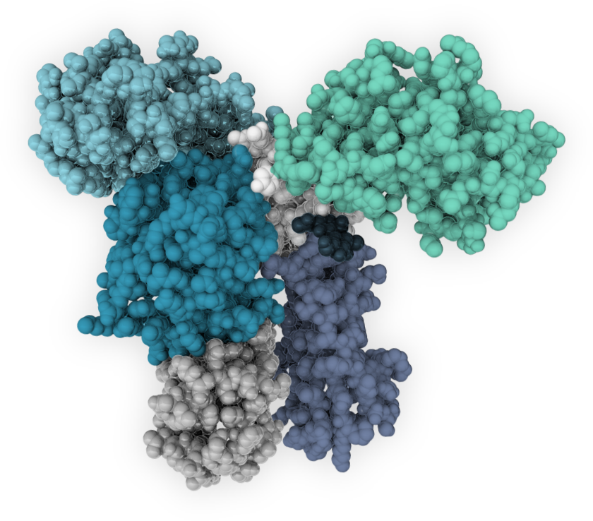 Spear Bio | Ultra-Sensitive Biomarker Detection