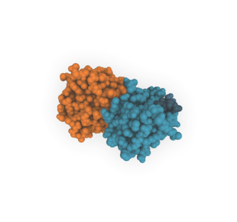 Spear Bio | Ultra-Sensitive Biomarker Detection